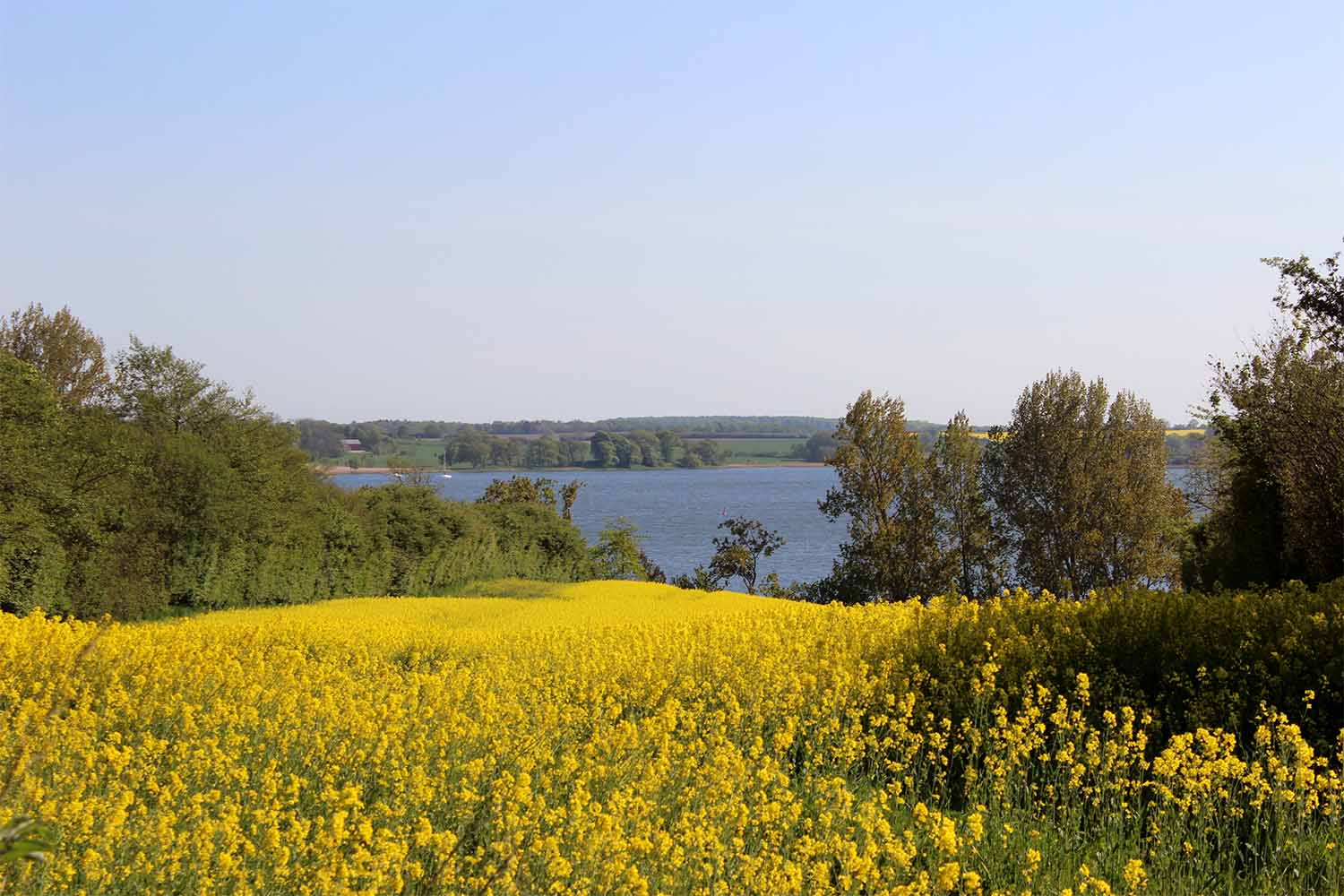 Belegungsplan Hof Osterholz - Urlaub auf dem Bauernhof in schönen ...